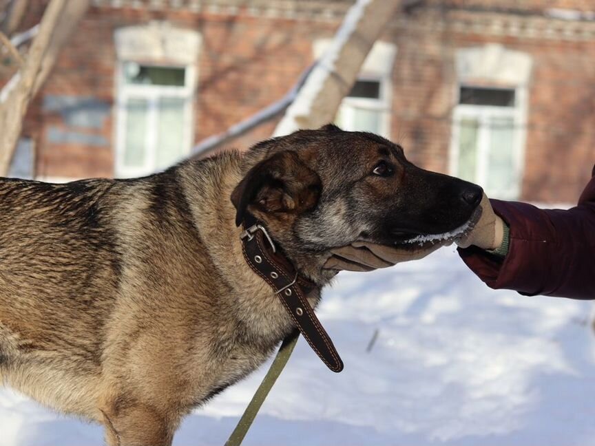 Она выжила чтобы стать вашим другом