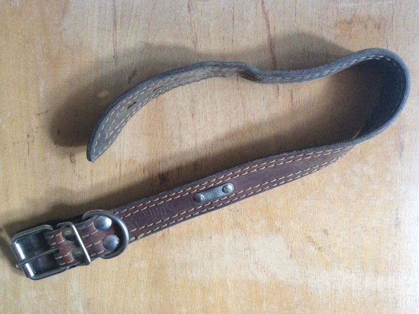 Ошейники для собак + Книги