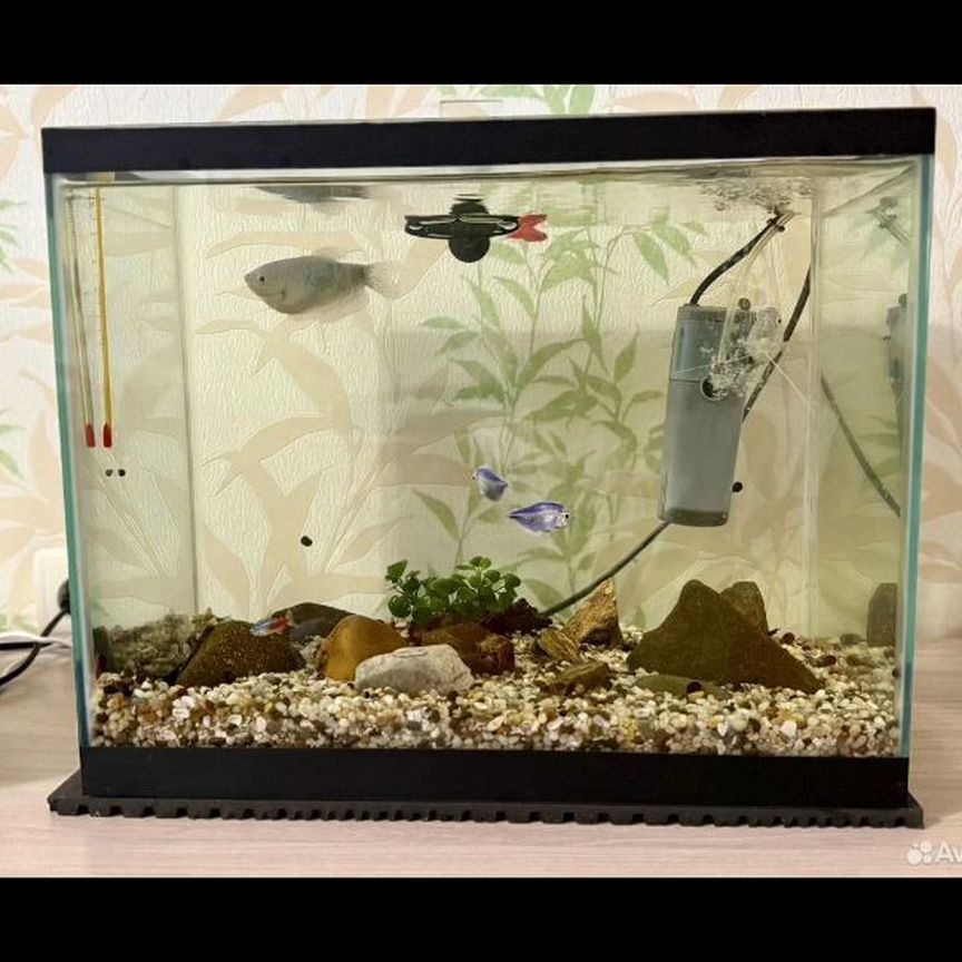Аквариум на 30 литров