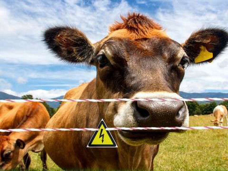 Электроизгородь (генератор импульсов)