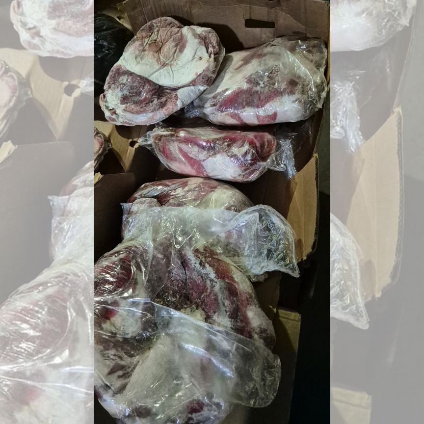 Мясо на корм животным