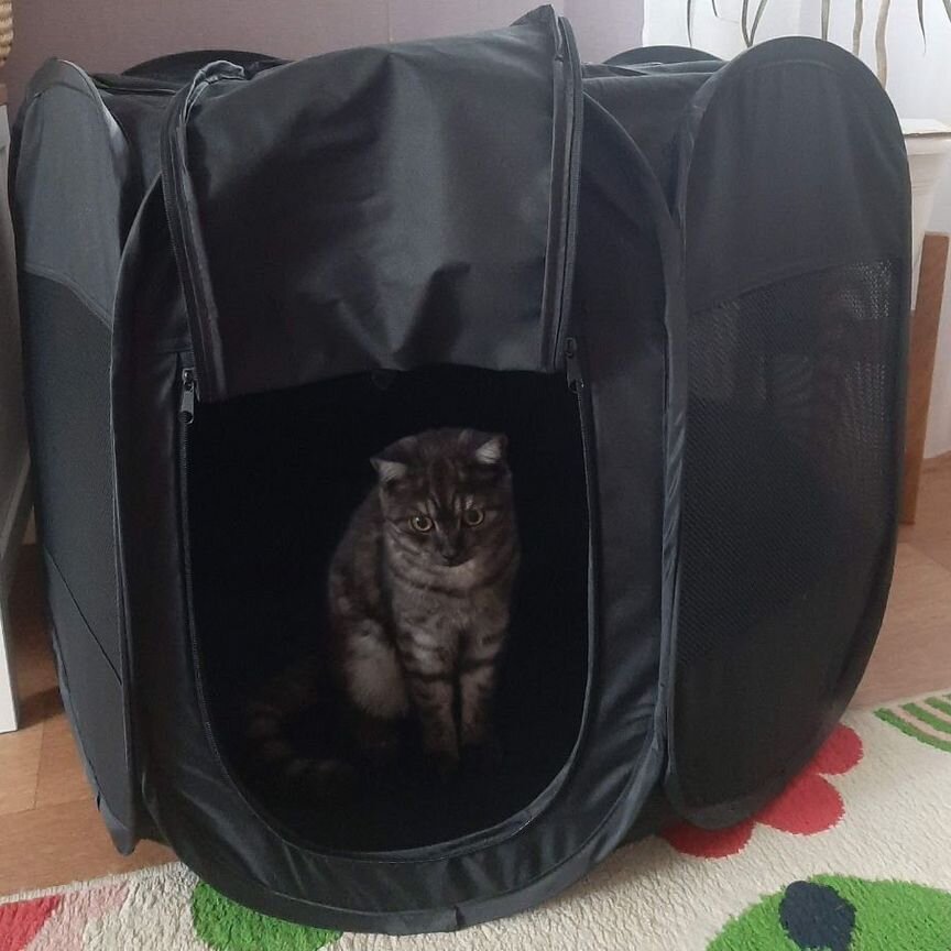 Манеж для кошек