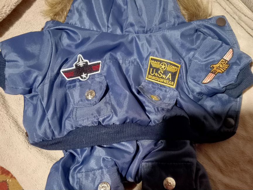 Одежда для маленьких собак