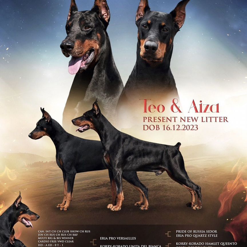 Щенки добермана с документами