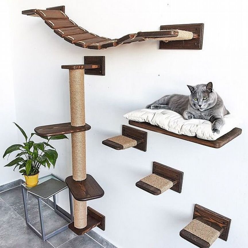 Комплекс для кошек