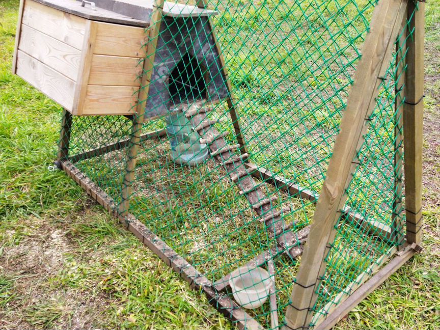 Курятник летний