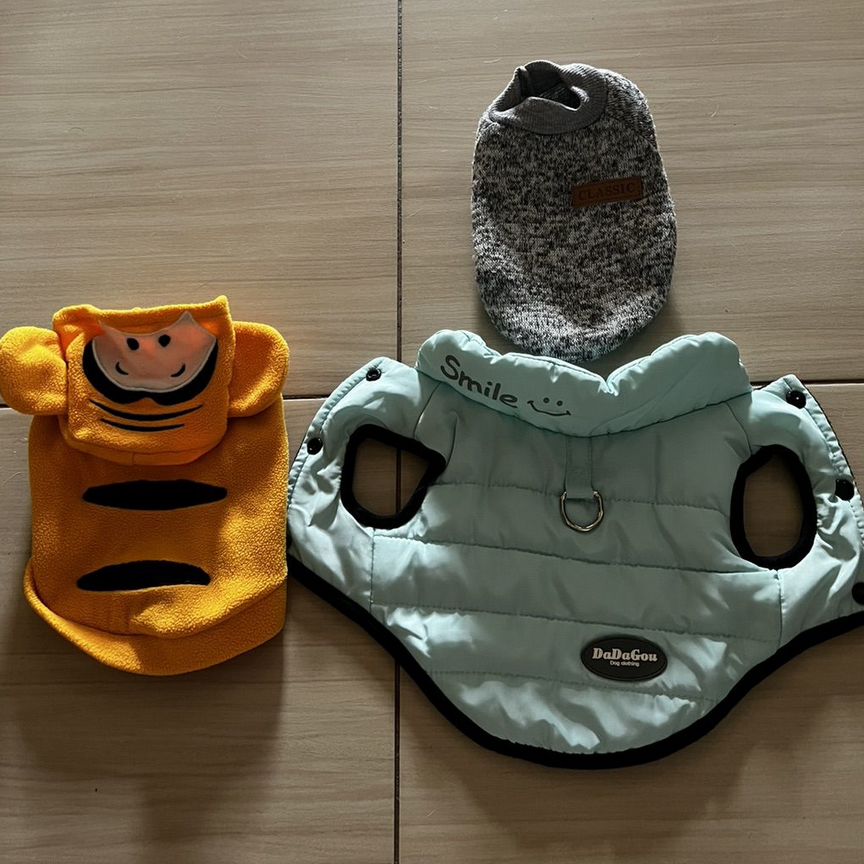 Вещи для маленьких собак xs