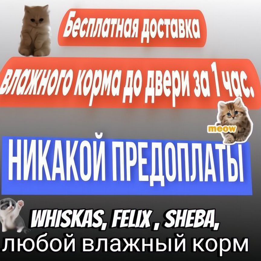 Влажный корм в любой город за наш счет