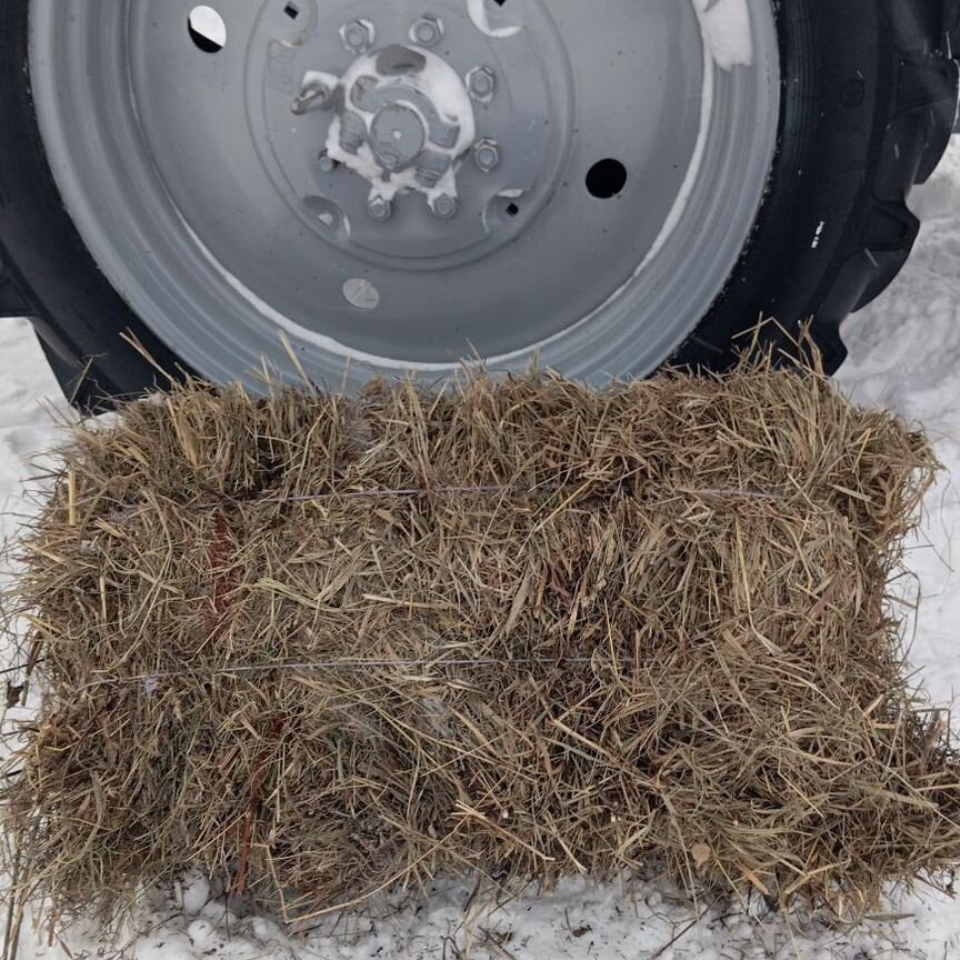 Сено в брикетах