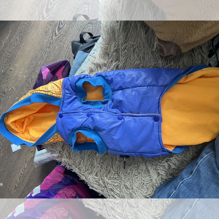 Одежда для собак