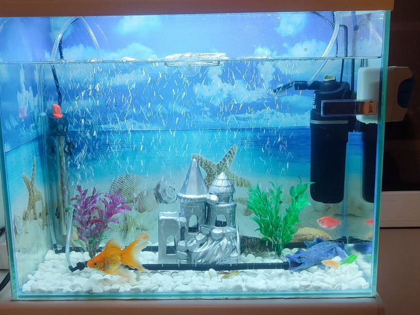 Аквариум