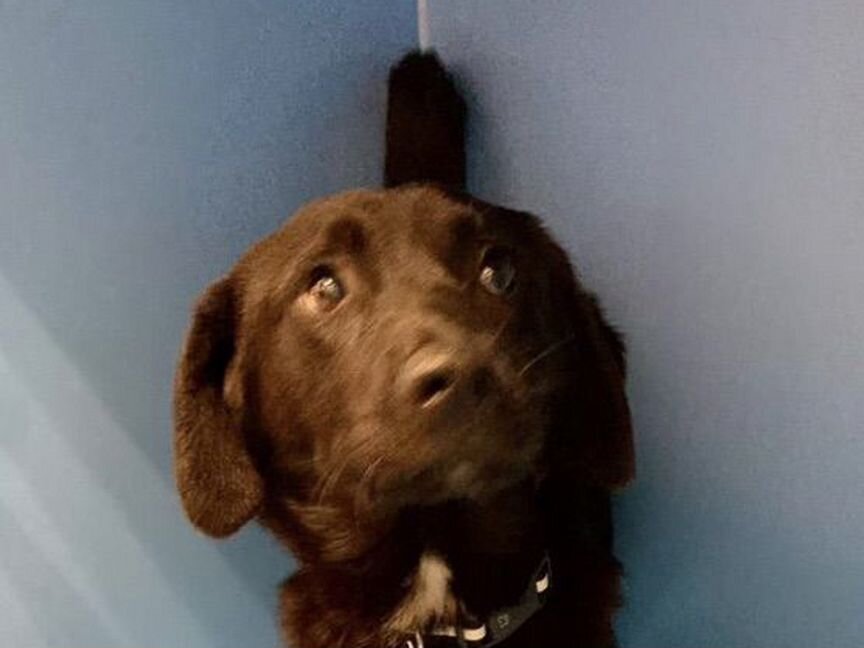 Кристи. Ненужный ребенок. Некуда идти