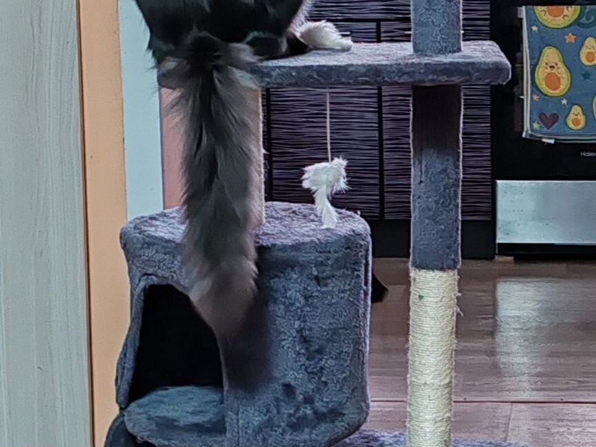 Домик для кошки с когтеточкой. Лазалка