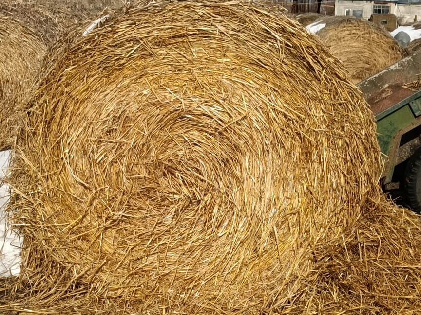Солома в рулонах
