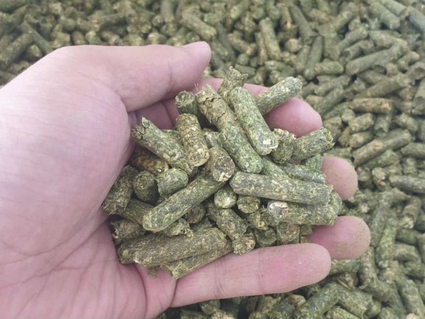 Гранулы люцерны