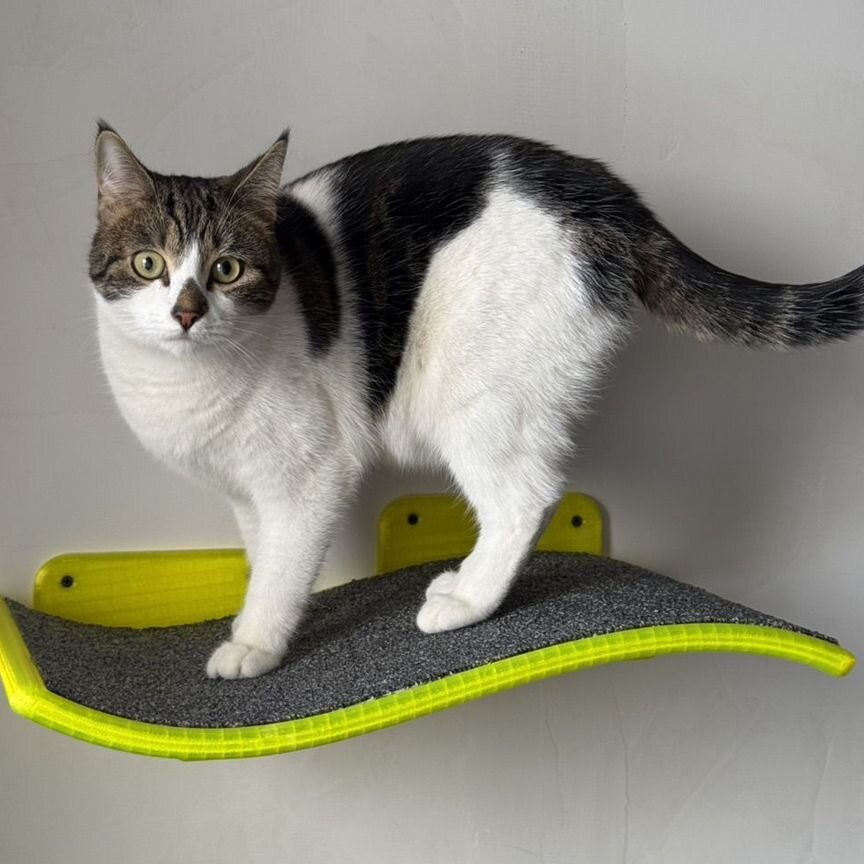 Кроватка для кошек