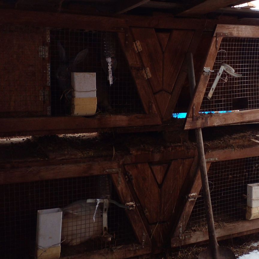 Клетка для кроликов б/у