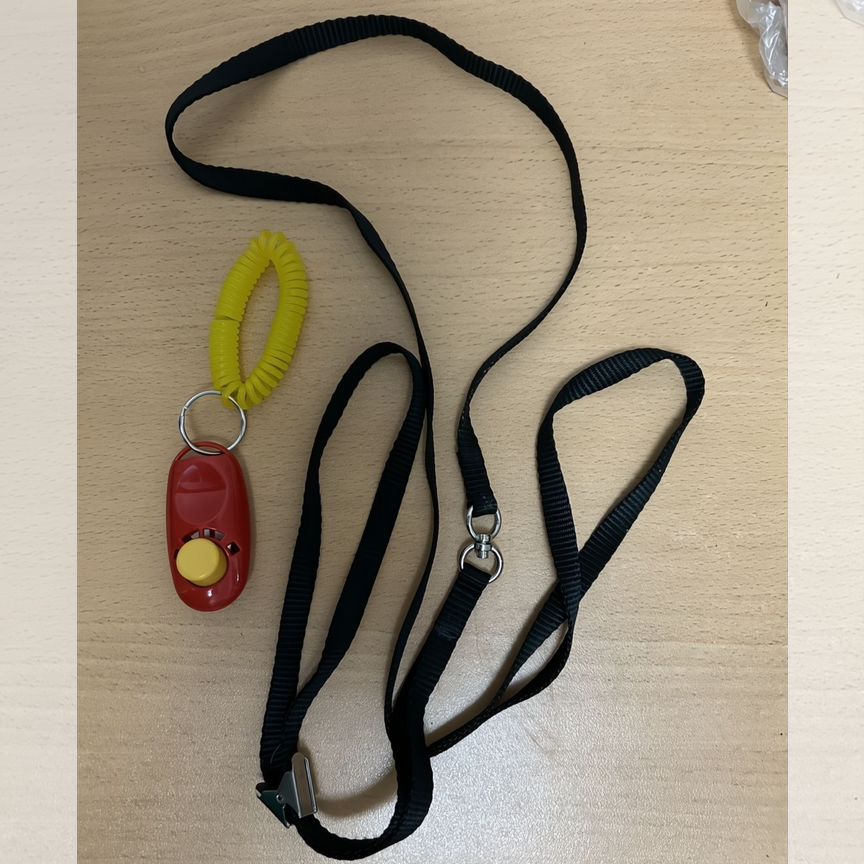 Ринговка для собак и кликер