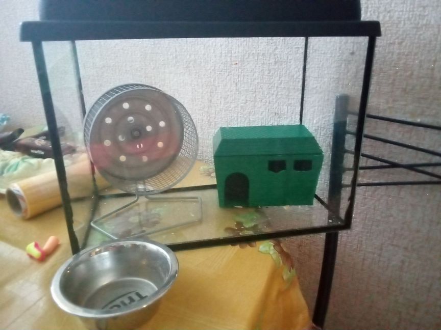 Набор для хомяка