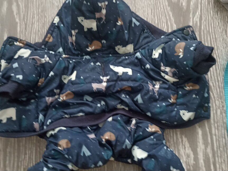 Вещи для собаки чихуахуа