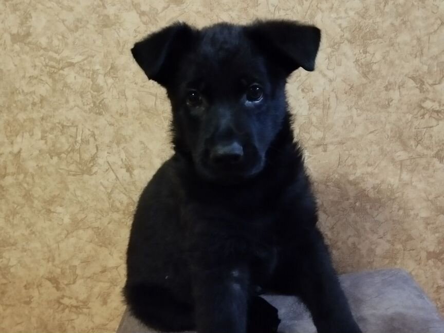 Немец парень