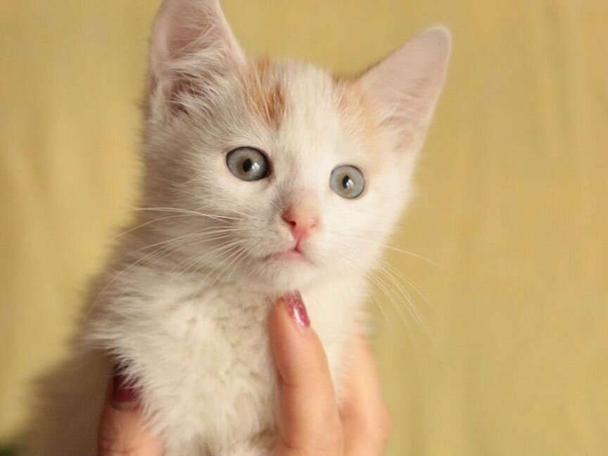 Спасённый с улицы мальчик