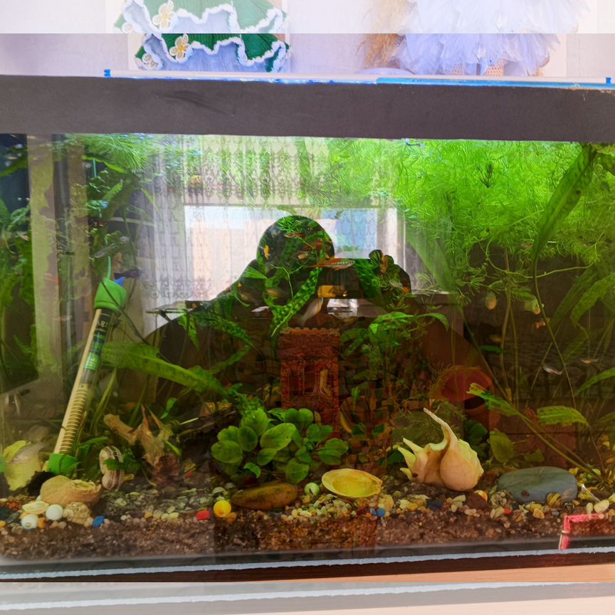 Аквариум 150 литров