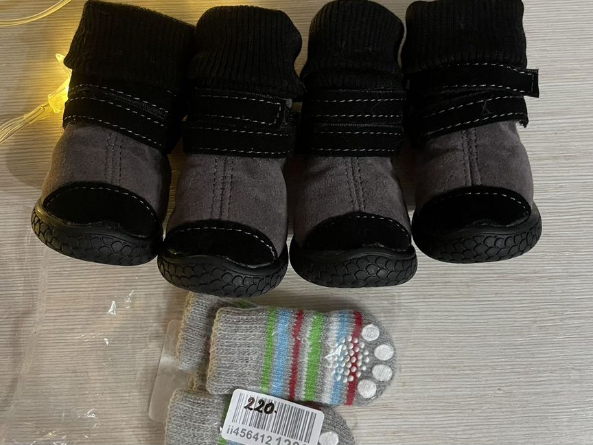 Ботинки для шпица