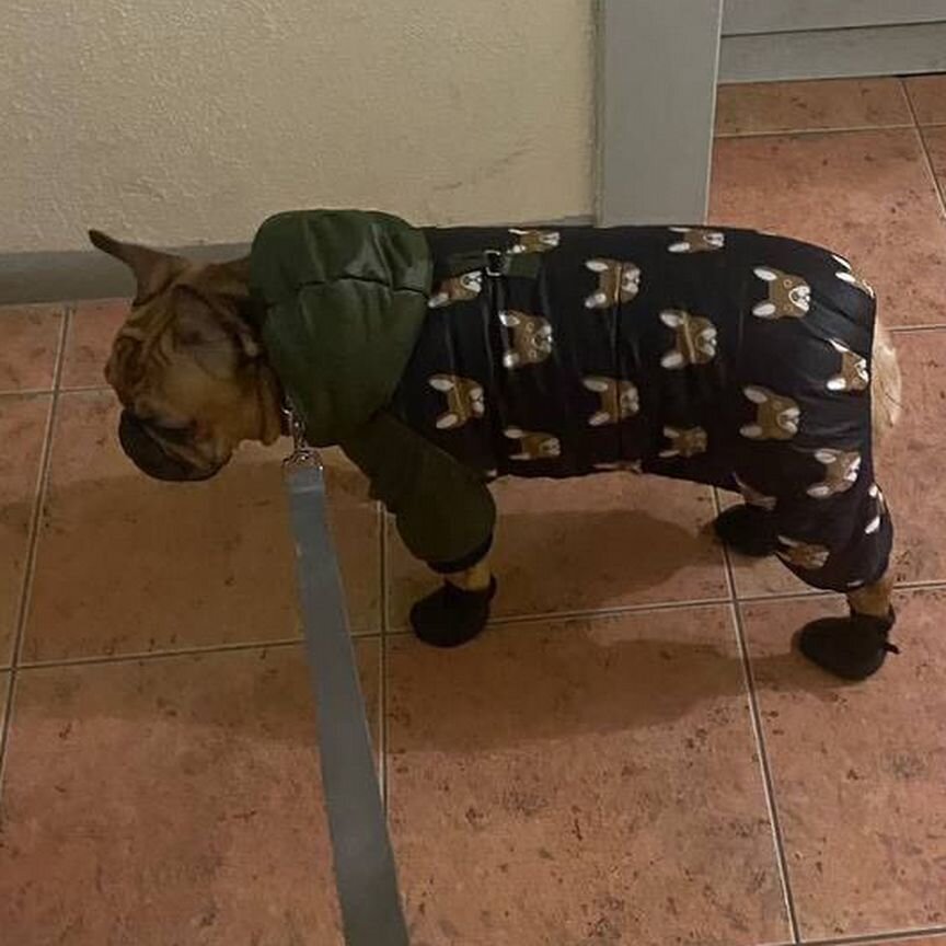 Комбинезон зимний доя собаки