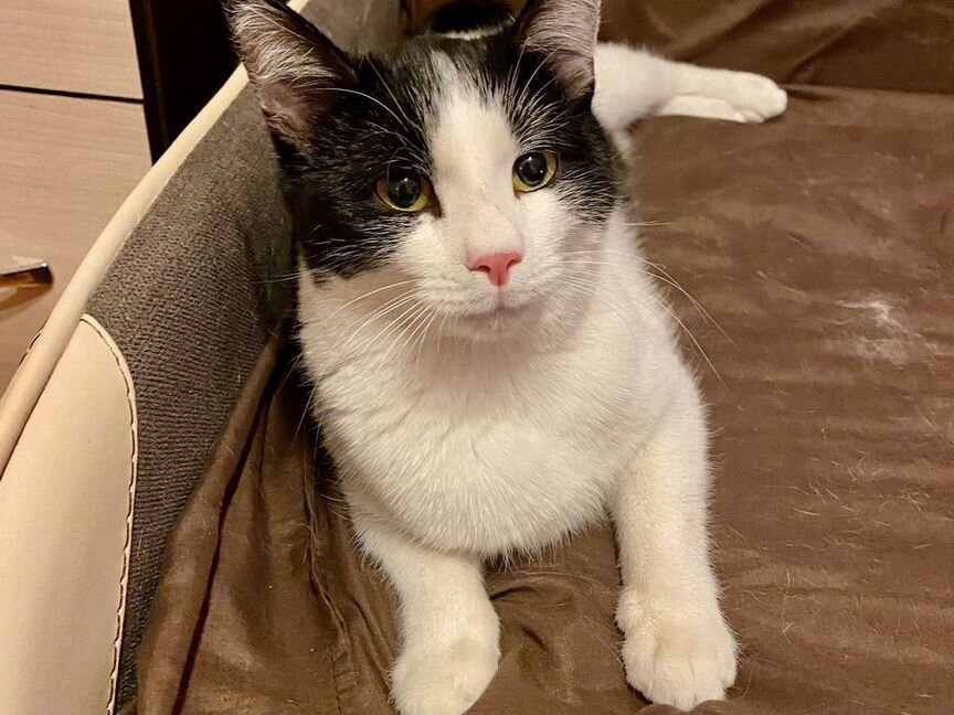 В ответственные руки