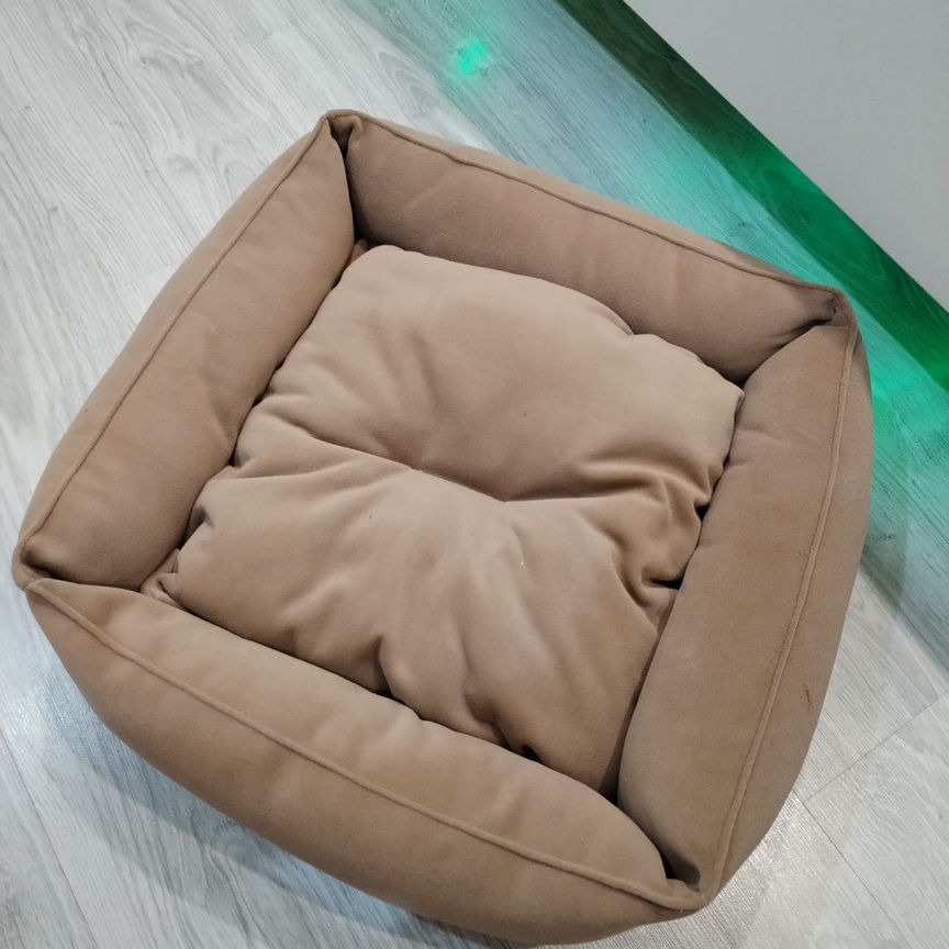 Лежанка, шампунь, миска, лоток для котят