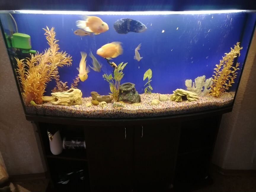 Продам аквариум с рыбками