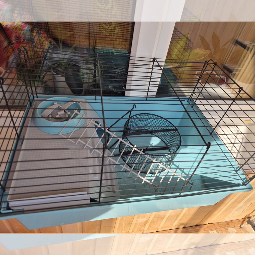 Клетка для грызунов бу