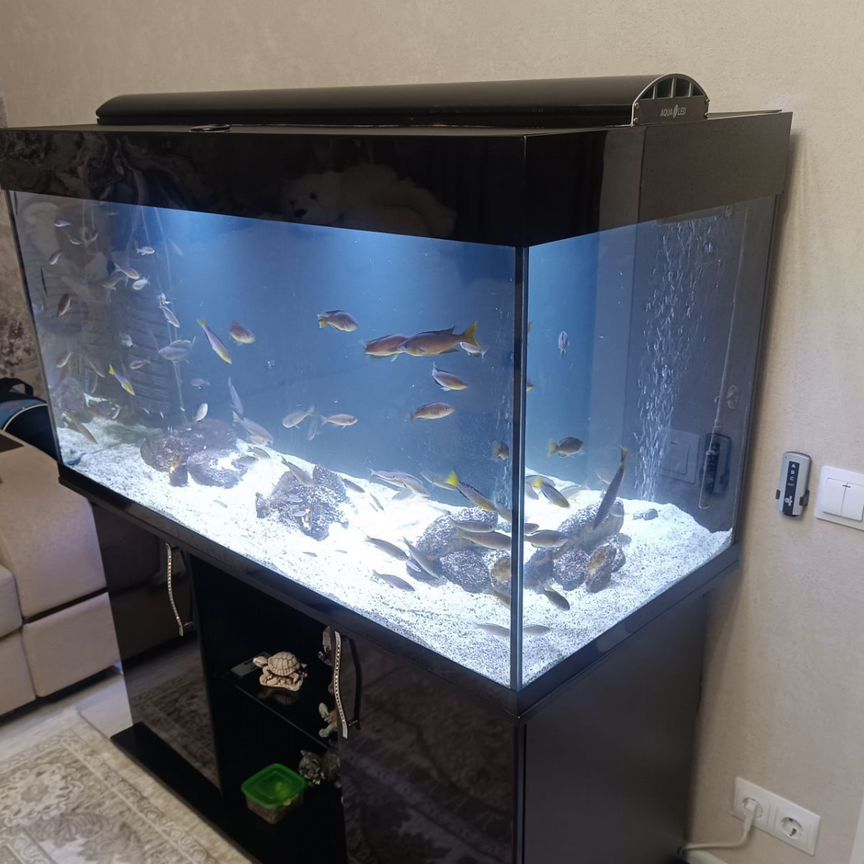 Продам аквариум бу