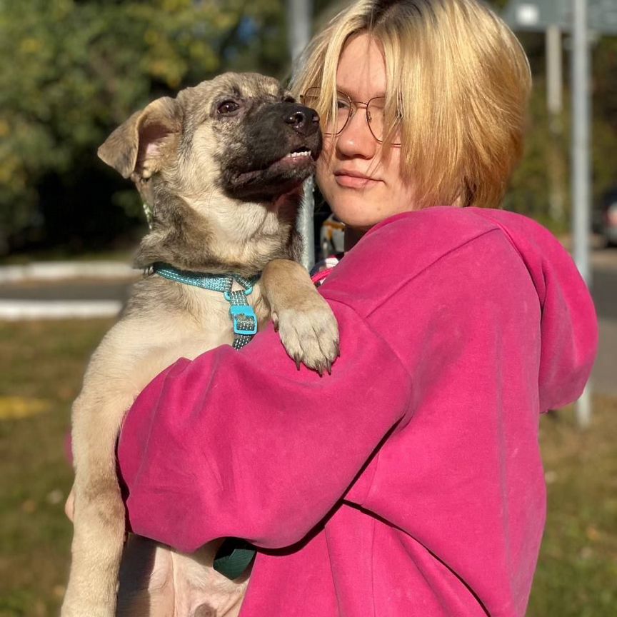 Спасите малыша Таймика