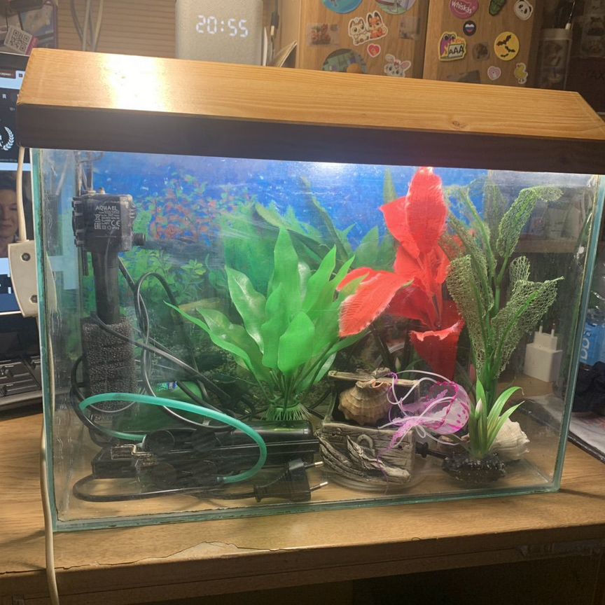 Аквариум с декором