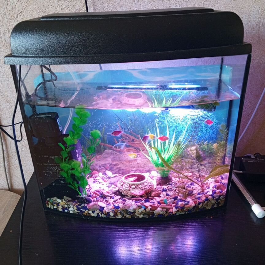 Новый аквариум с рыбками