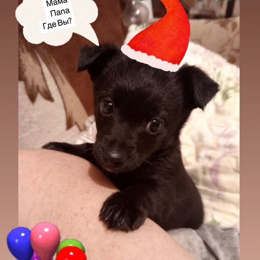 Малыш под елочку