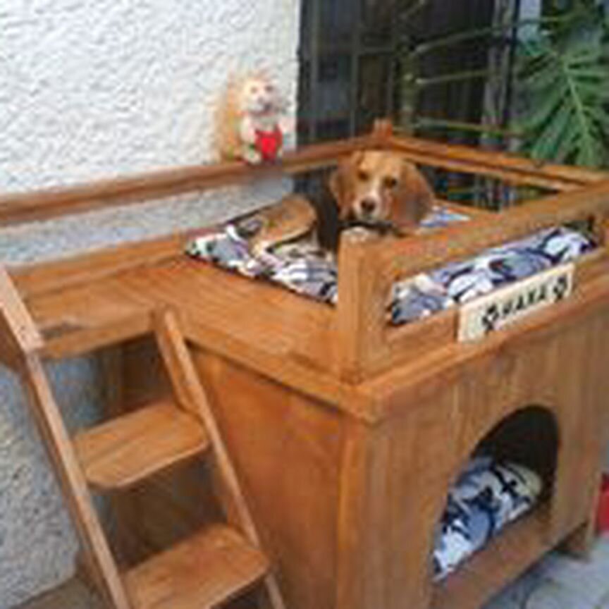 Домик для декоративной маленькой собачки