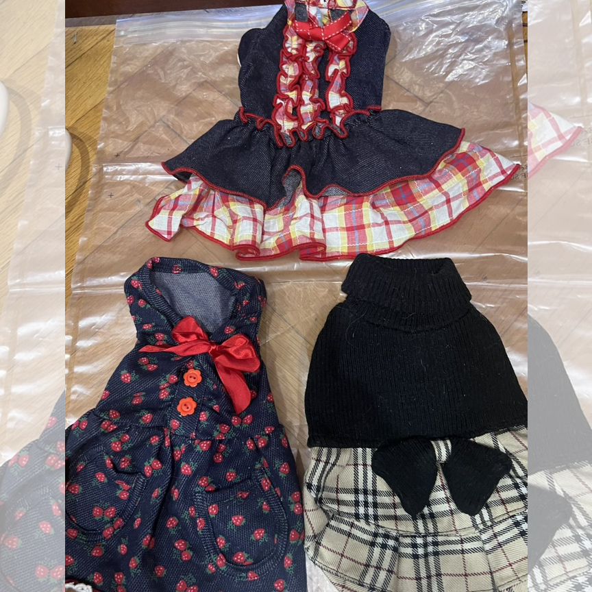 Одежда для собак мелких пород