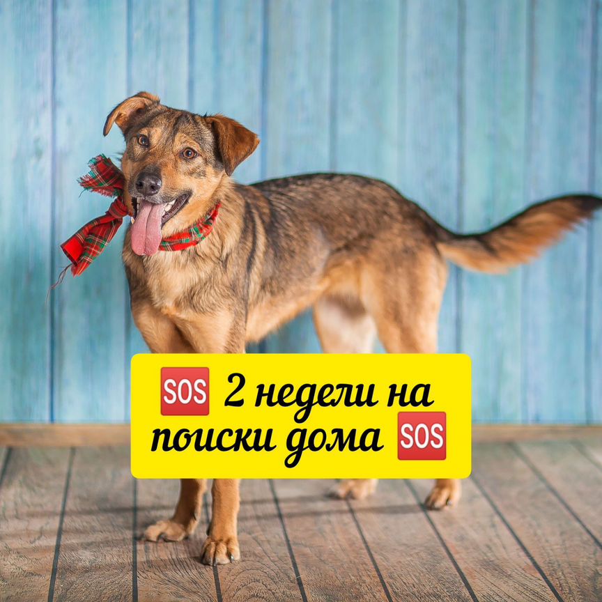 Помогите не остаться на улице