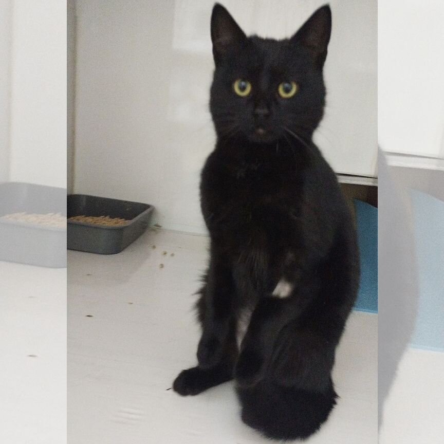 Опять на холод