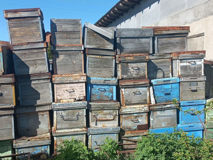 Ульи дадан лежаки