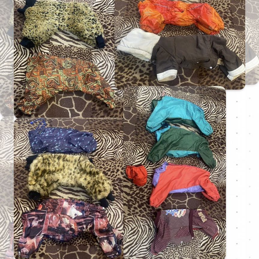 Одежда для собак