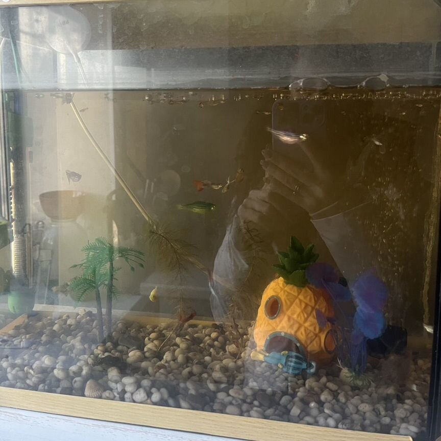 Аквариум 30 литров