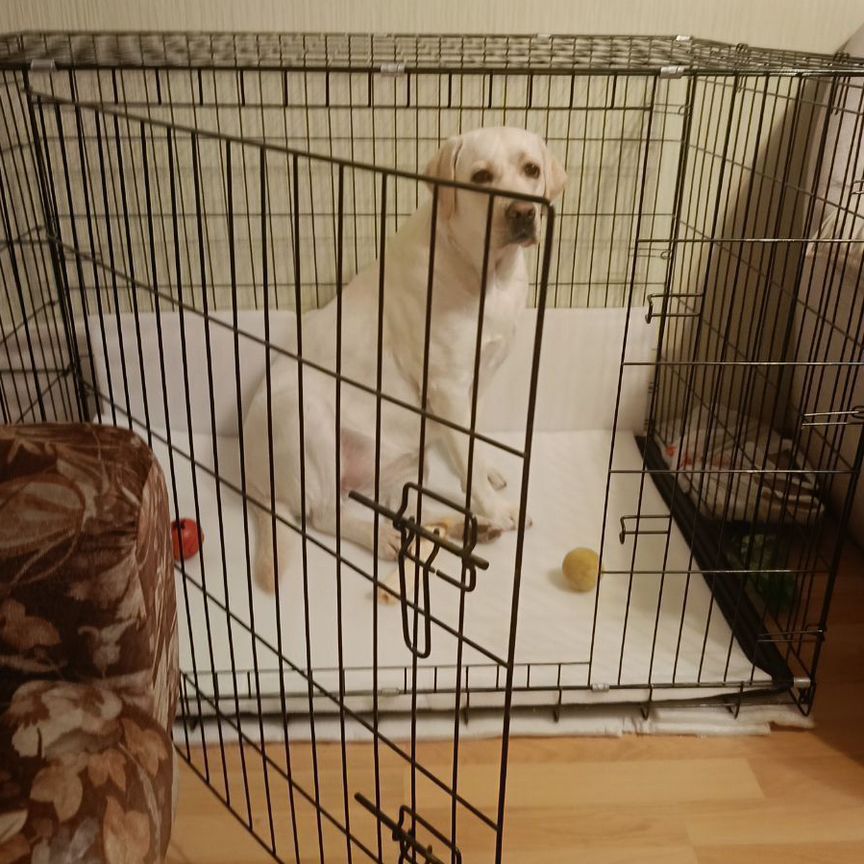 Клетка для большой собаки