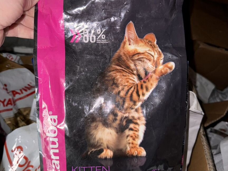 Корм для кошек eukanuba 2 кг