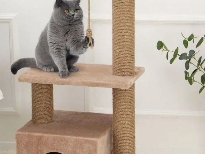 Домик для кошки