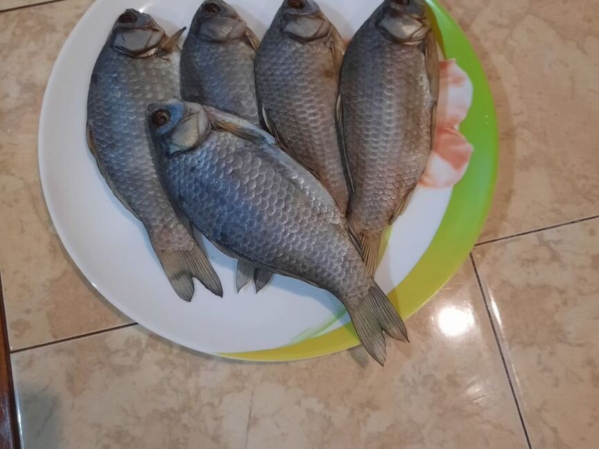 Рыба- карась речной