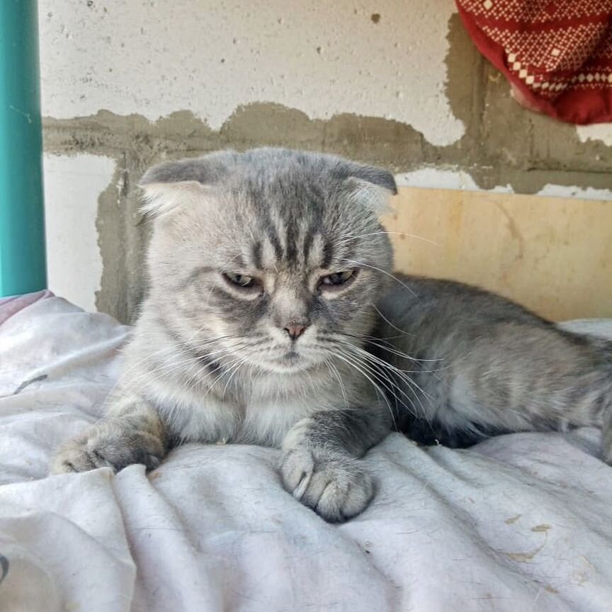 Верит в чудо